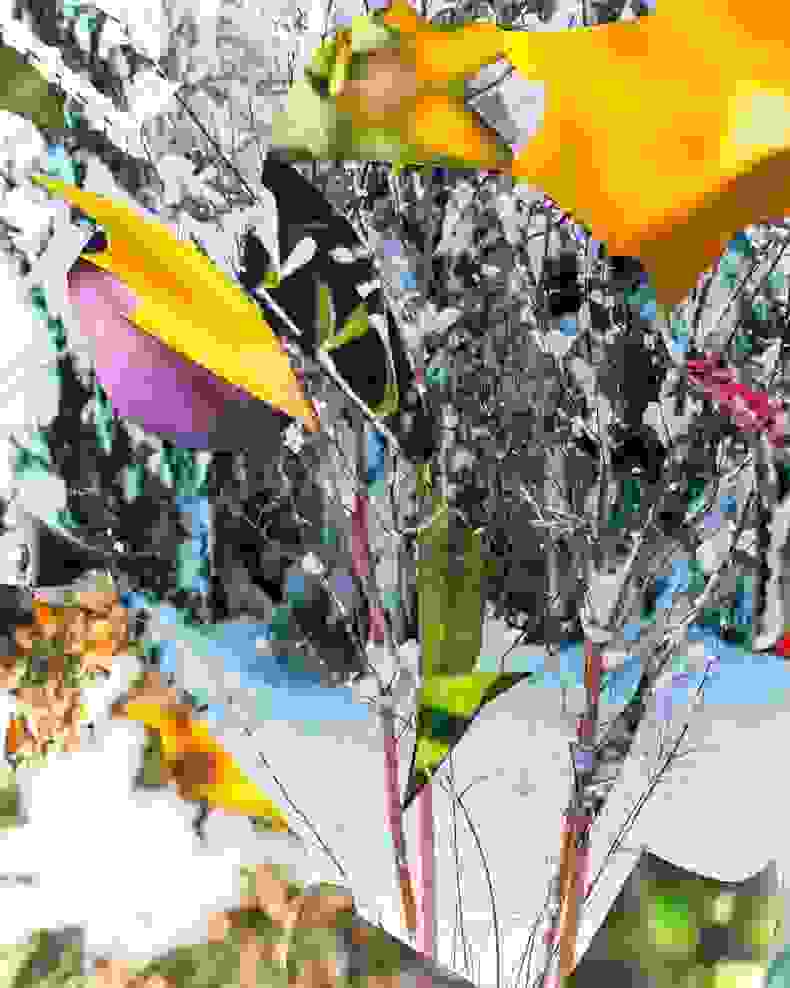 “Suzanne Anker: Arctic Gardens and the Sixth Extinction,” opening August 6 in the SVA Flatiron ...