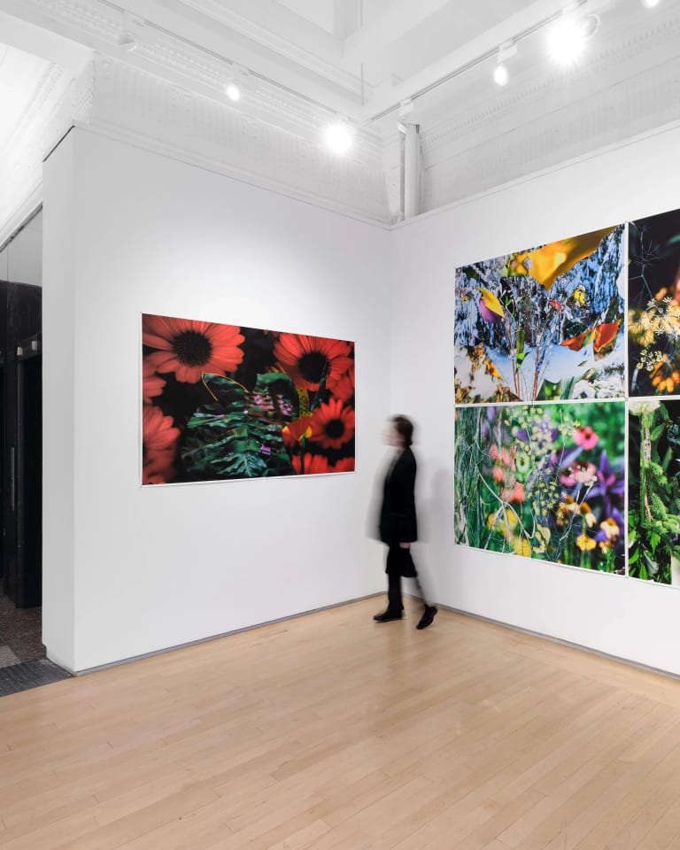 An interview with Suzanne Anker about “Arctic Gardens and the Sixth ...