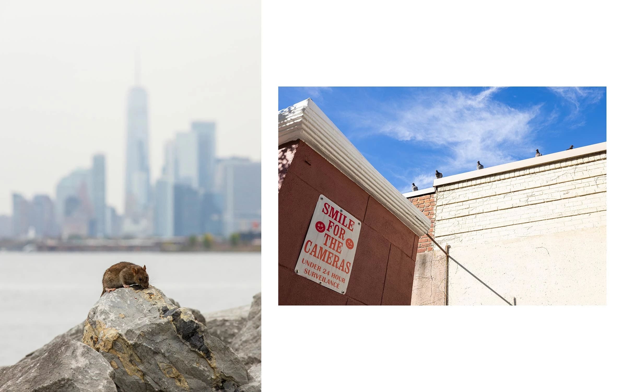 SVA Photo Student John Yuhas and Alumnus Jeremy Cohen on their ...