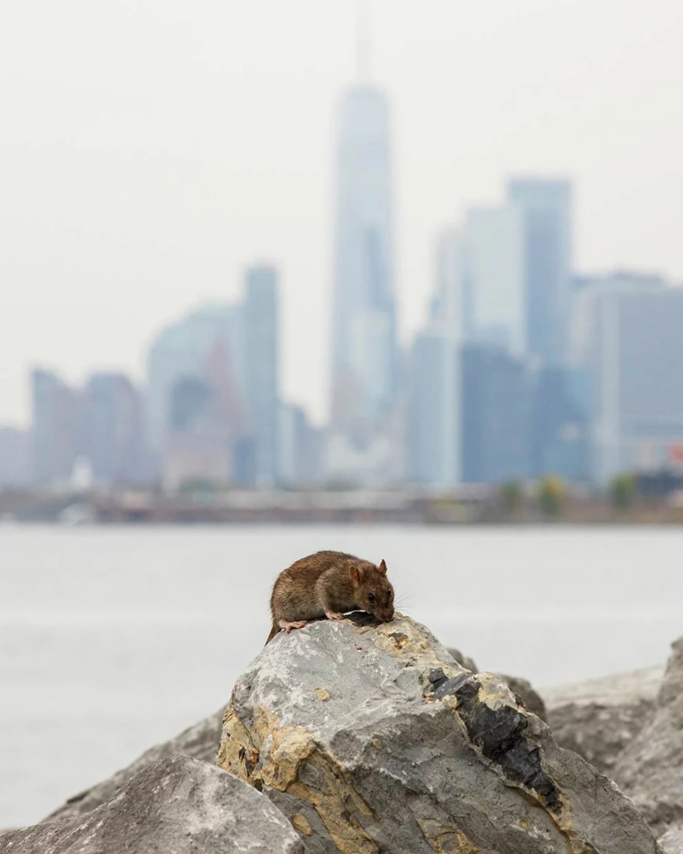 SVA Photo Student John Yuhas and Alumnus Jeremy Cohen on their ...