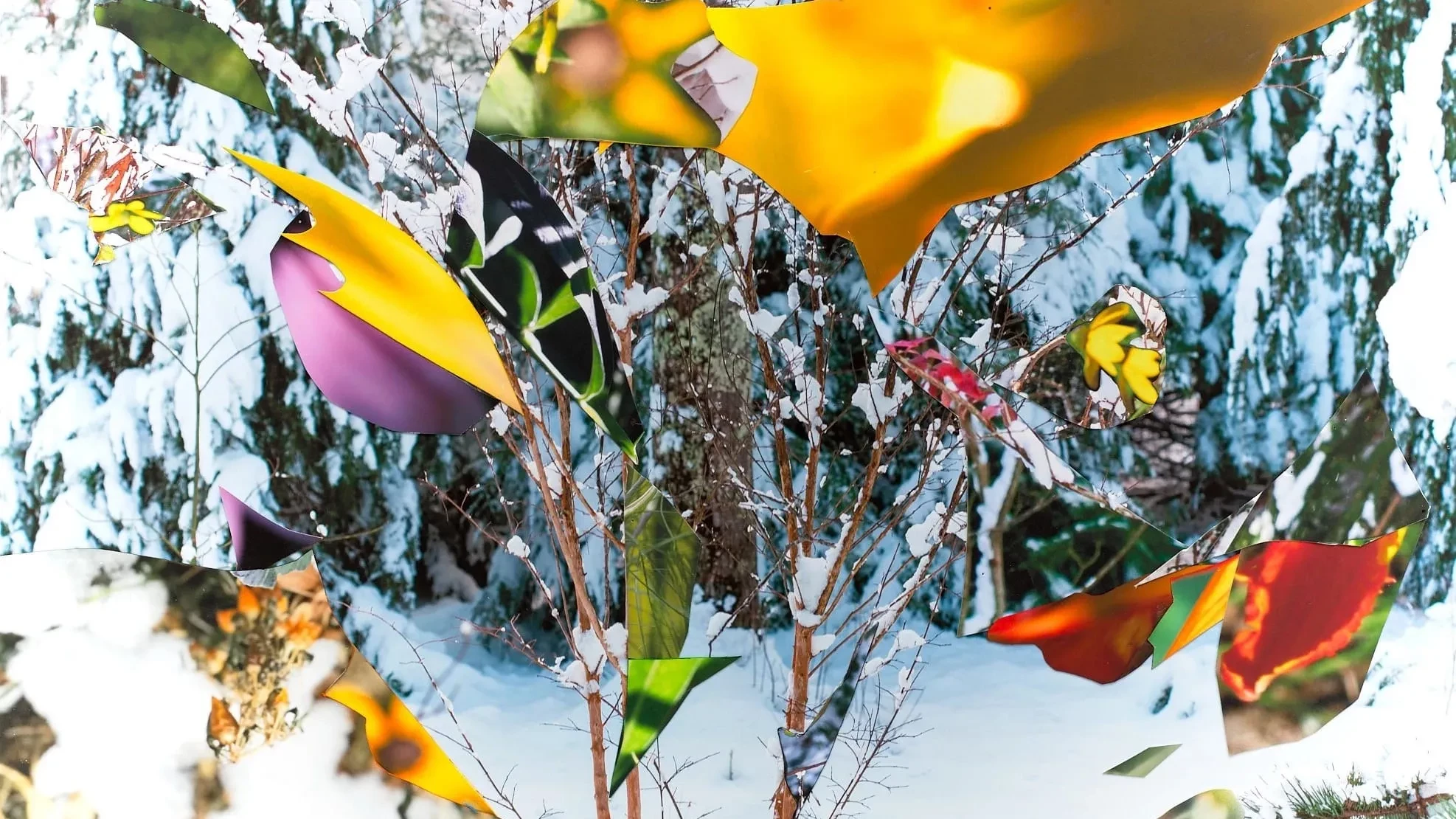 Suzanne Anker: Arctic Gardens and the Sixth Extinction | August 6 ...