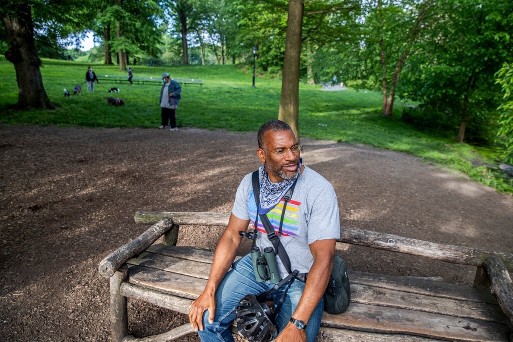 SVA Alumni Flock To Make Christian Cooper's 'It's A Bird!' Comic Take ...