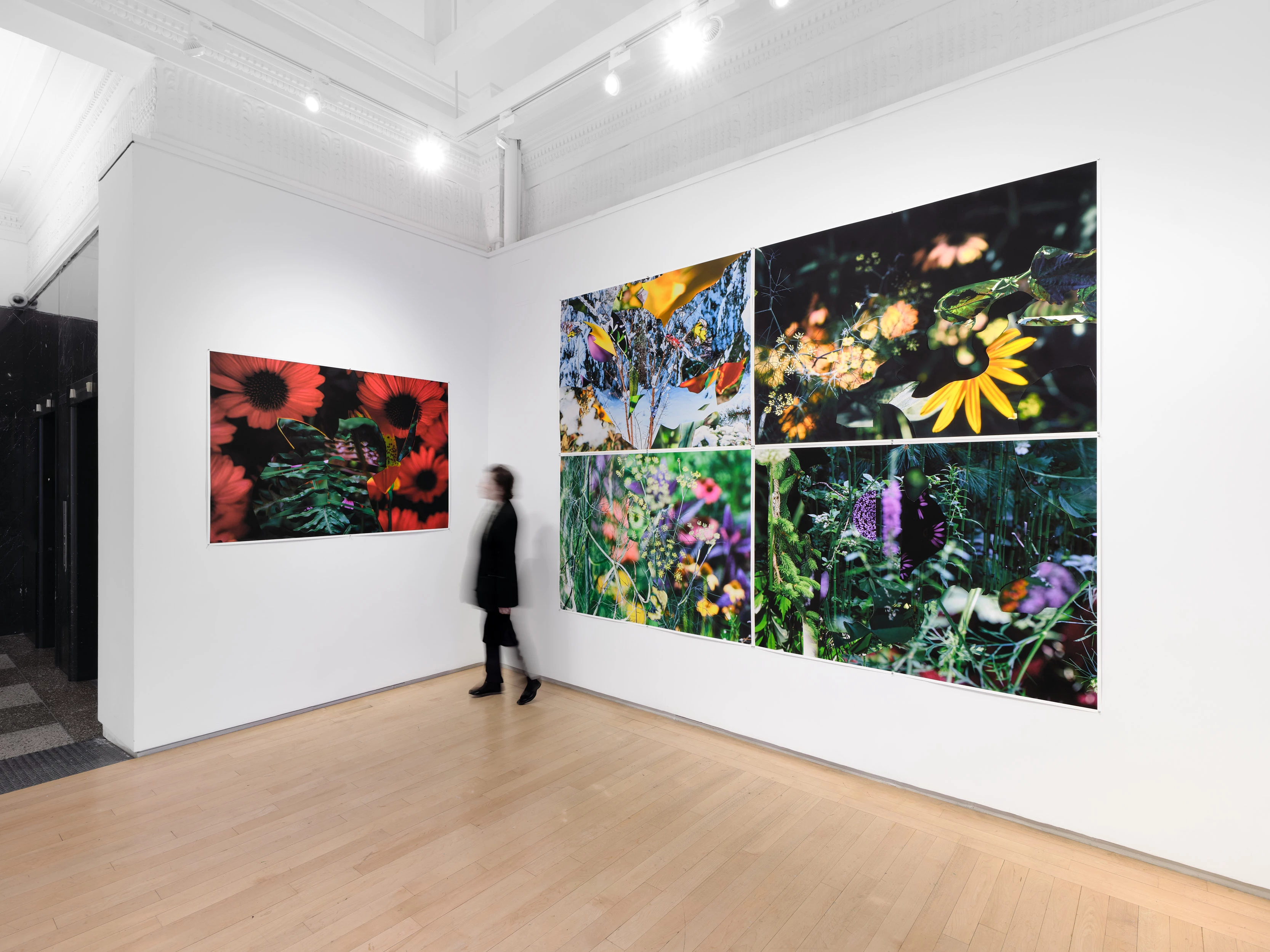 An interview with Suzanne Anker about “Arctic Gardens and the Sixth Extinction” | School of ...