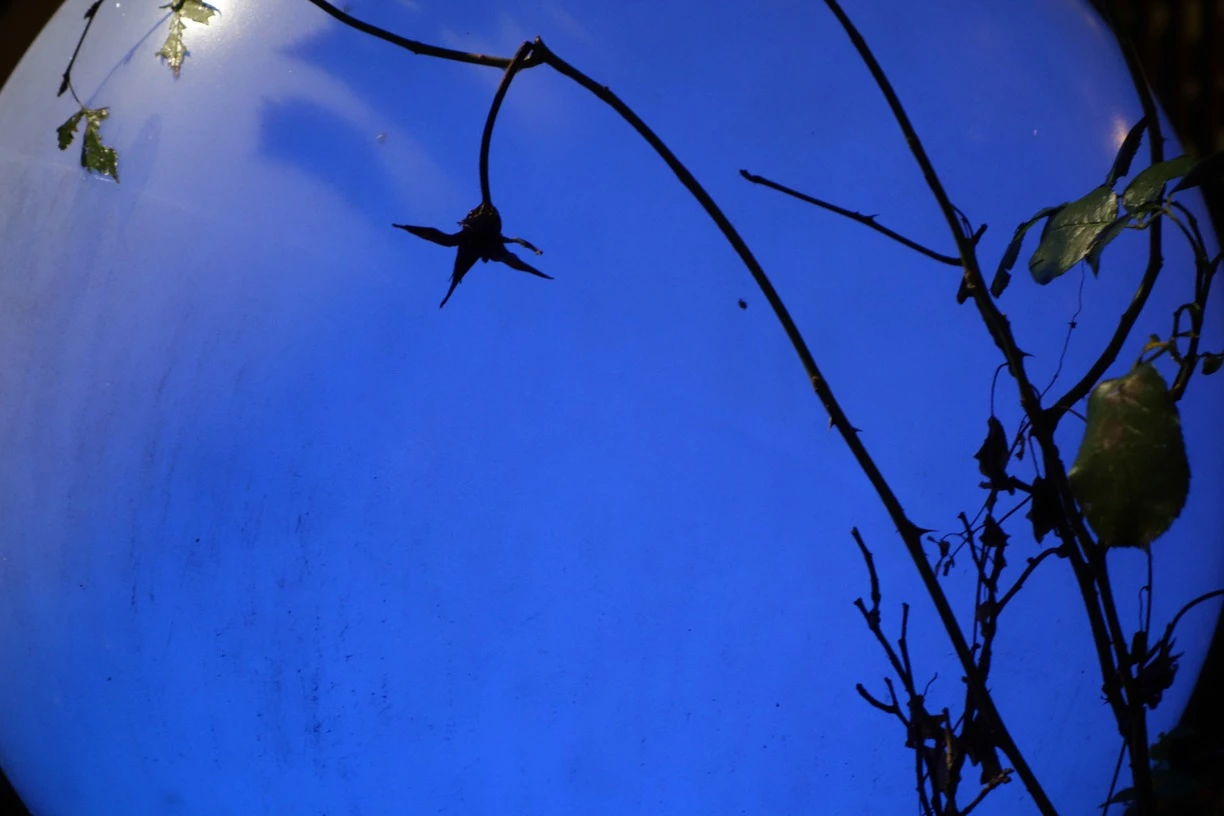 ContinuEd Project Space: ALL THAT WILL BE LEFT IS ART | School of ...