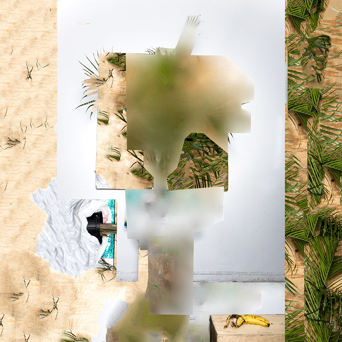 BFA Photography and Video Student Work | School of Visual Arts | SVA NYC