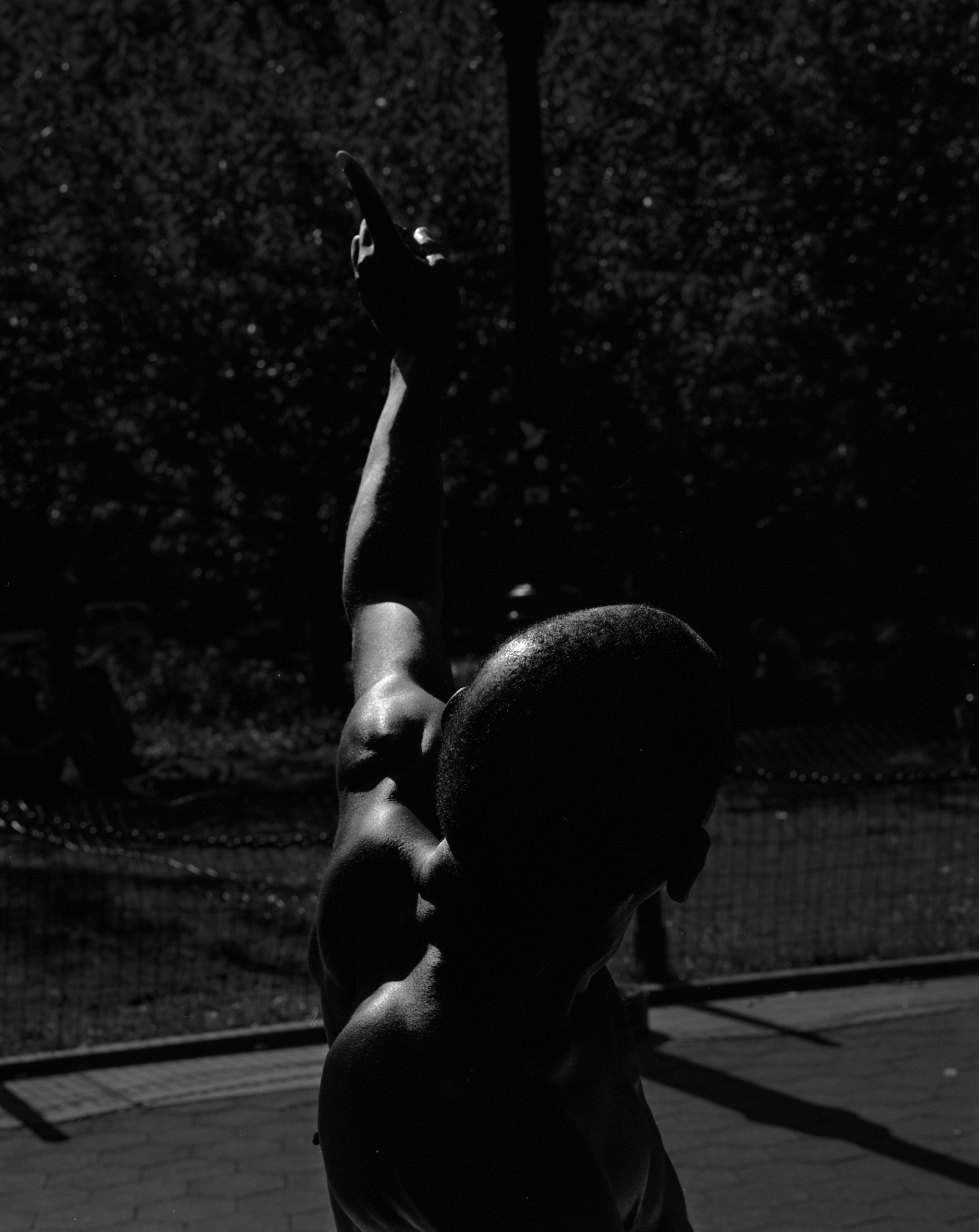 BFA Photography and Video Student Work | School of Visual Arts | SVA NYC