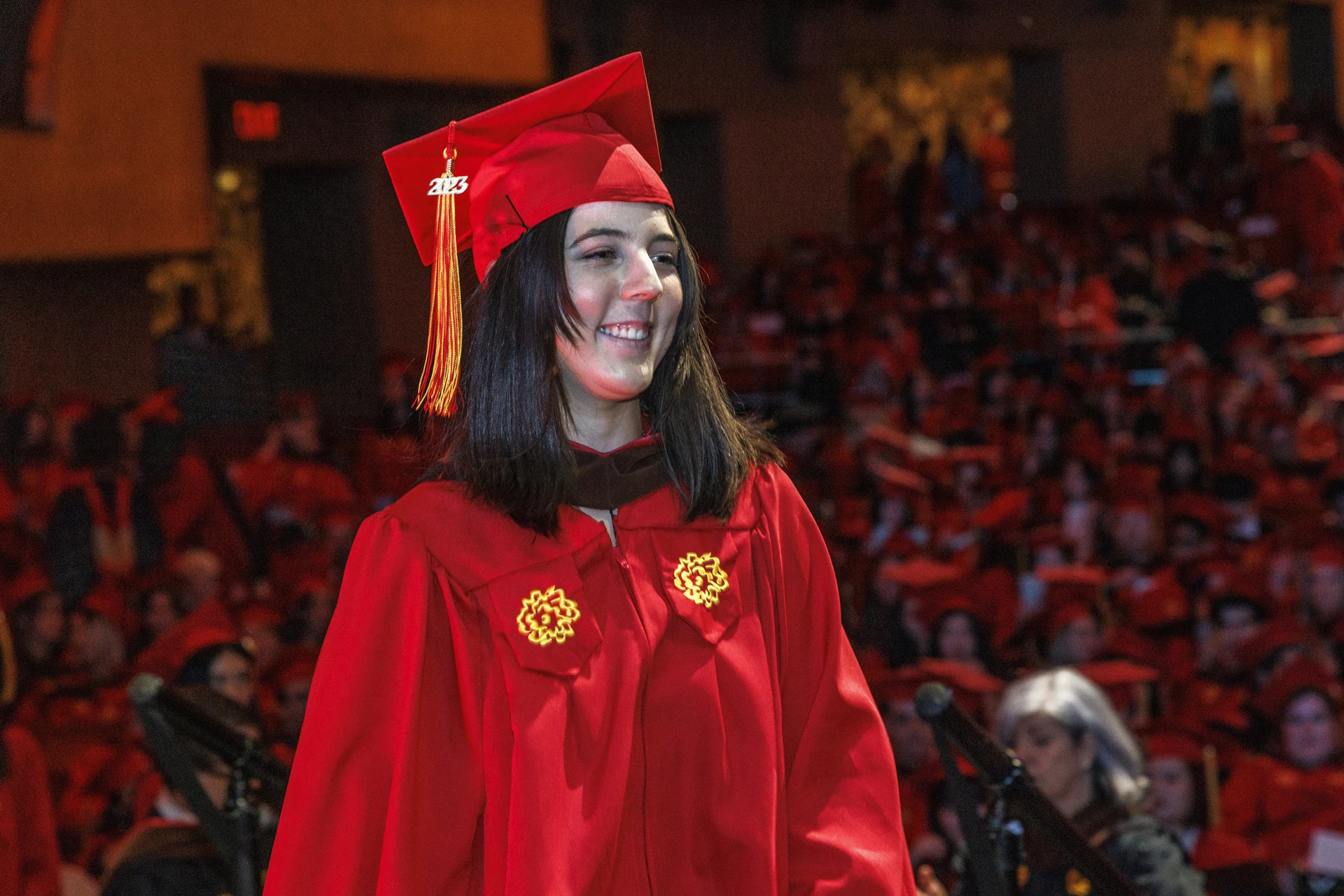 MFA Design & MFA Design for Social Innovation | School of Visual Arts ...