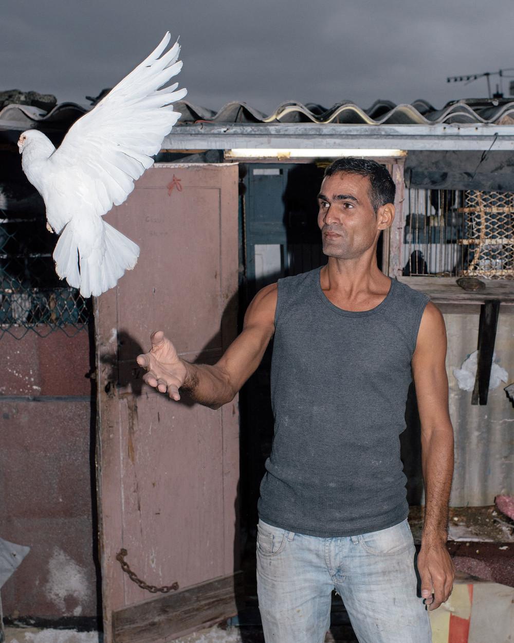 'Vice' Features Cuban Pigeon Racing Photos by SVA Alumnus Carlos ...