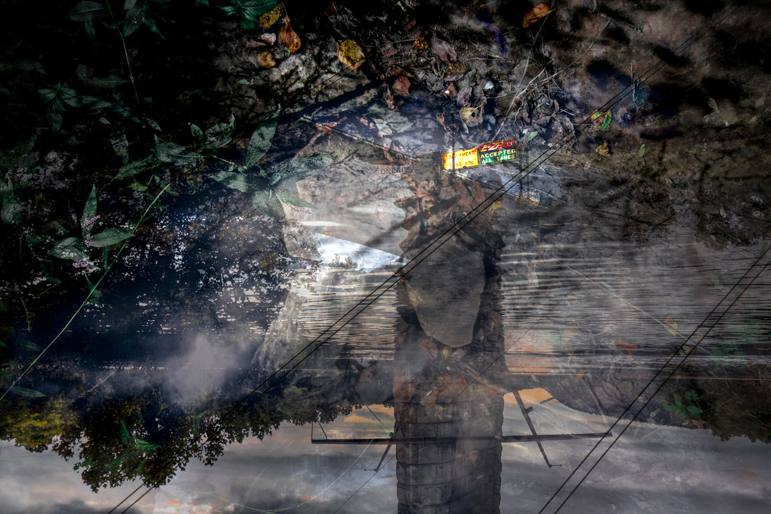 BFA Photography and Video’s Annual ‘Mentors’ Program Pairs Students ...