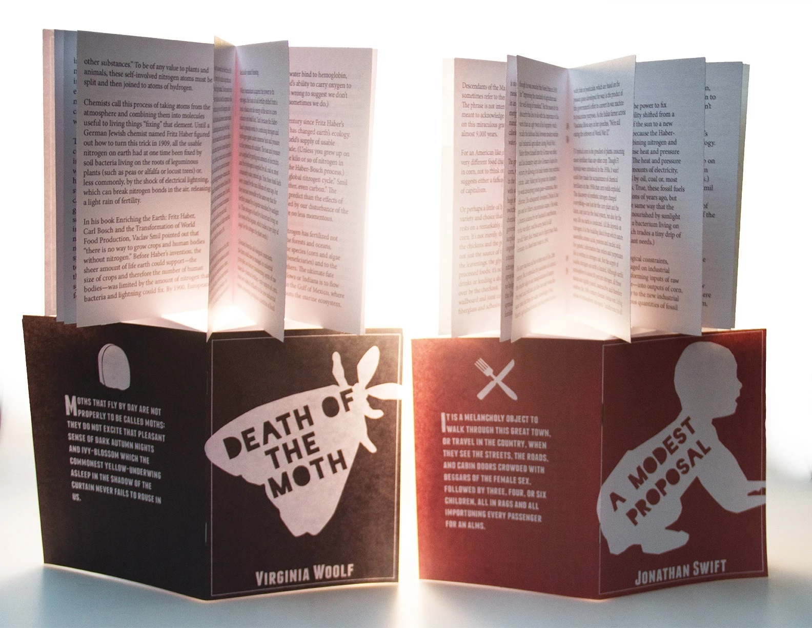 Top Projects on SVA Portfolios for May 2024 | School of Visual Arts ...