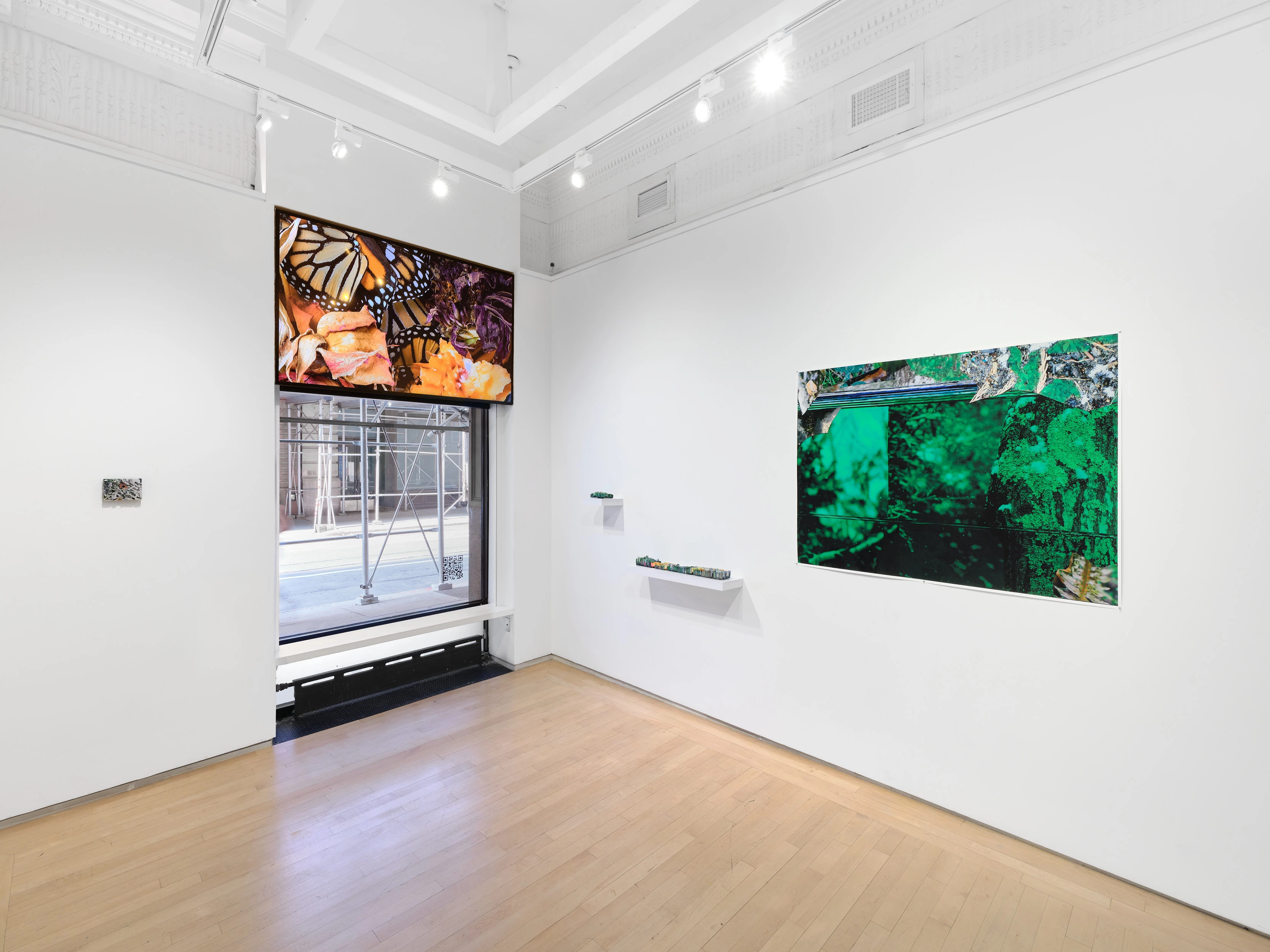 An interview with Suzanne Anker about “Arctic Gardens and the Sixth Extinction” | School of ...