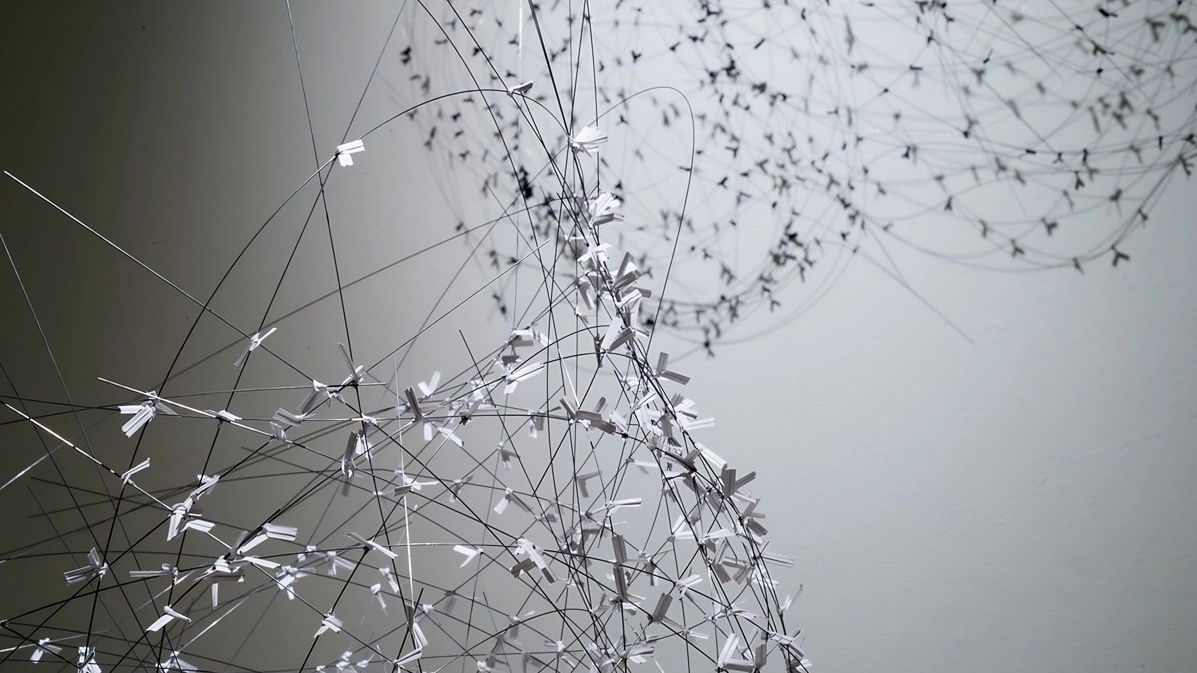 International Students | School of Visual Arts | SVA NYC