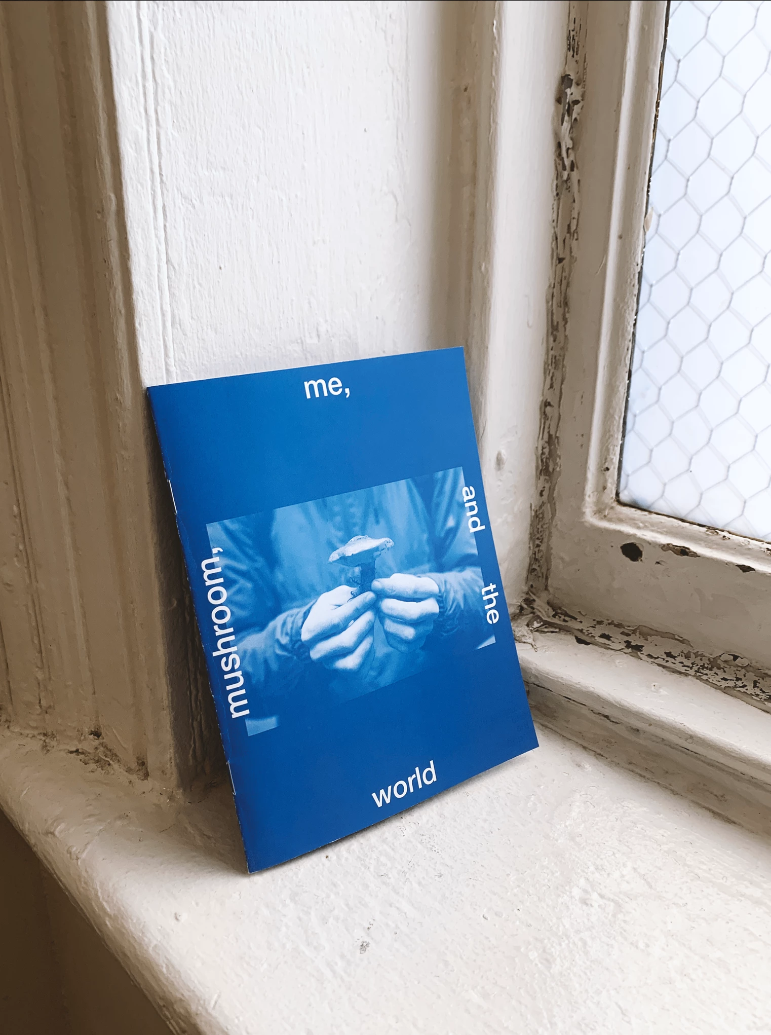 SVA Portfolios: The Five Most-Discussed Projects of March 2023 | School ...