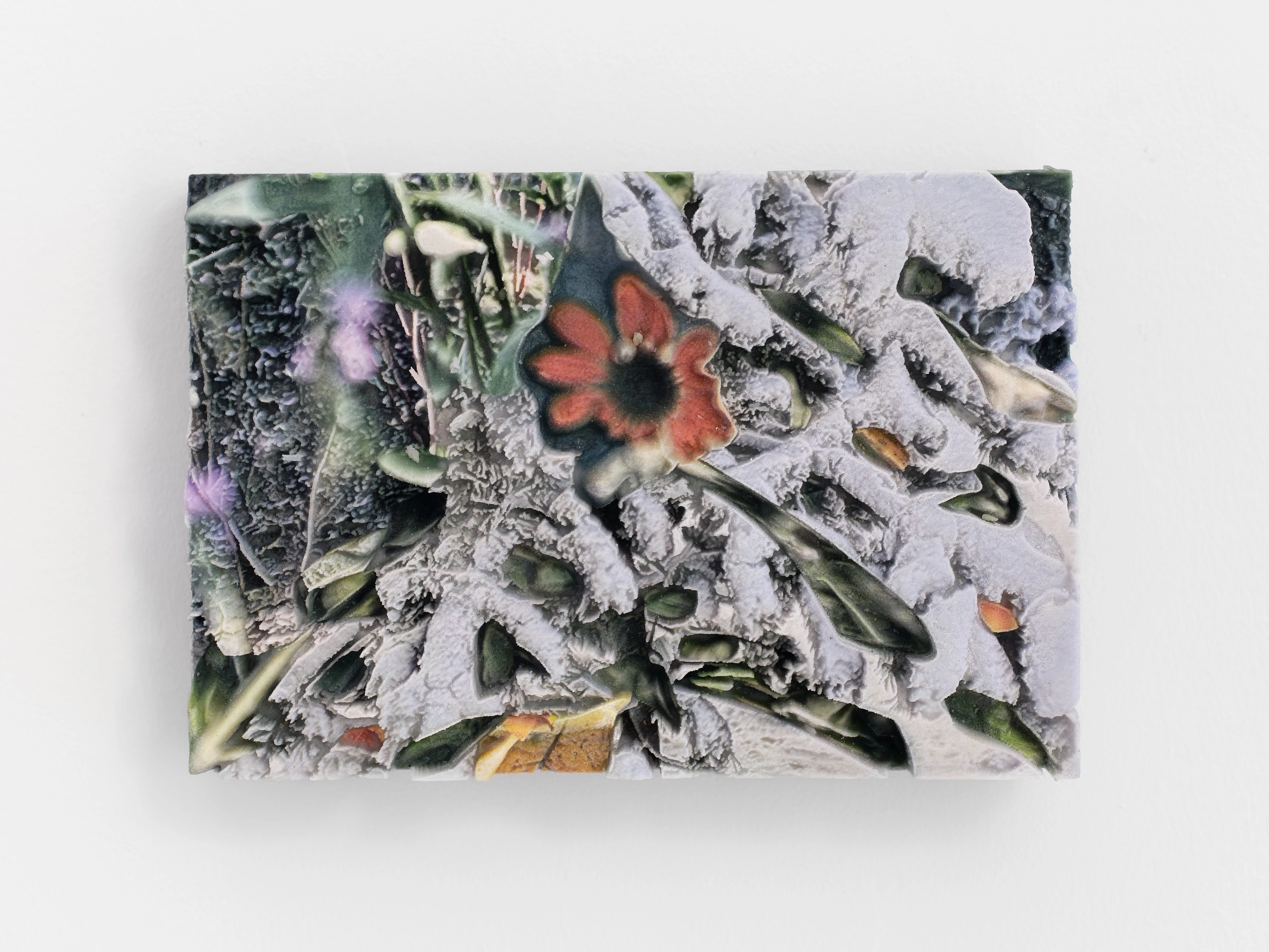 An interview with Suzanne Anker about “Arctic Gardens and the Sixth ...